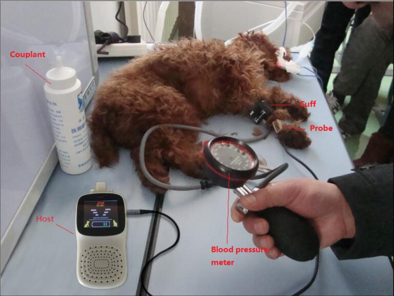 CFV-BP200V Veterinary Doppler Blood Pressure Monitor – Care For Vet